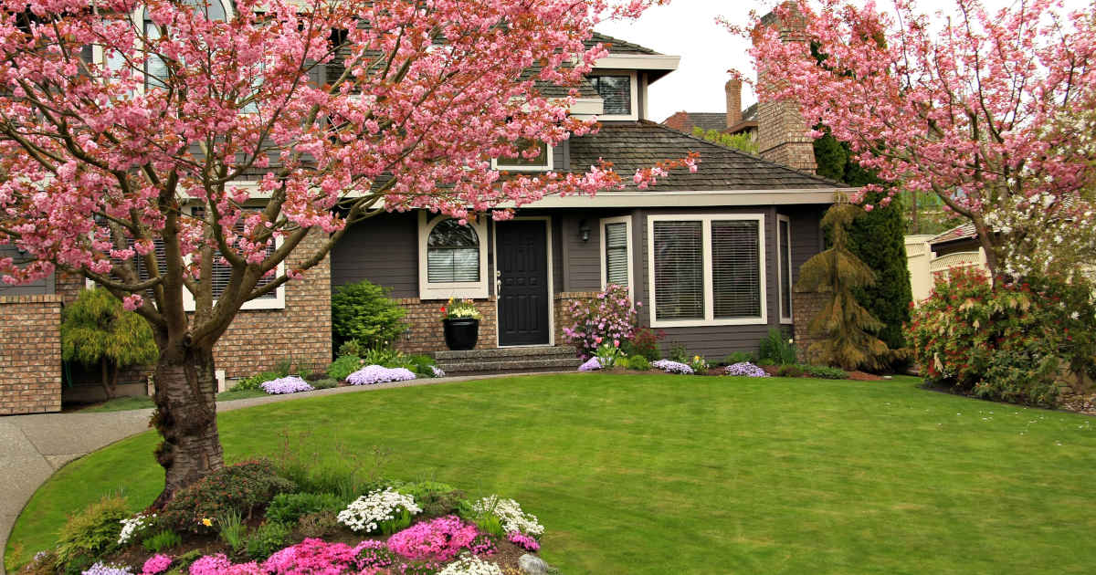 Get Ready for Spring with These Home Projects | Sunshine Oil